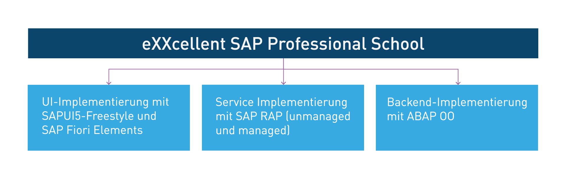 Karriere mit SAP - eXXcellent solutions